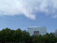 【OPPO A37 全网通】报价_参数_图片_论坛_OPPO A37（全网通）手机报价-ZOL中关村在线