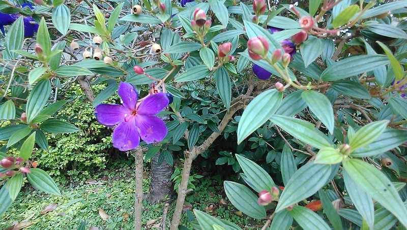 HTC(htc)One（802t/双卡/移动3G） 样张图-ZOL中关村在线